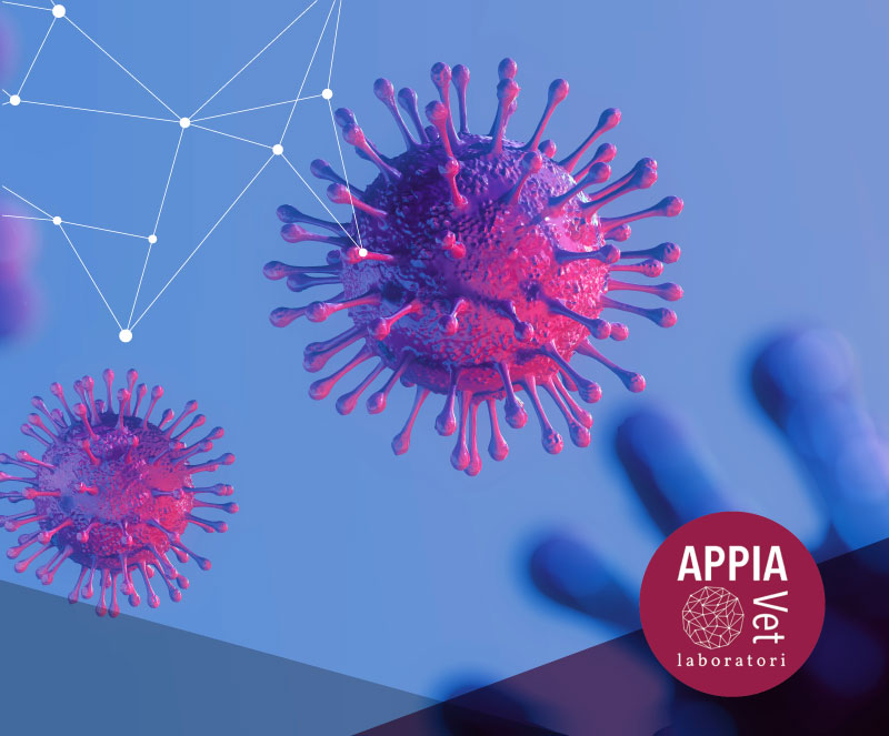 FIV (Virus dell’Immunodeficienza Felina) - AppiaVet